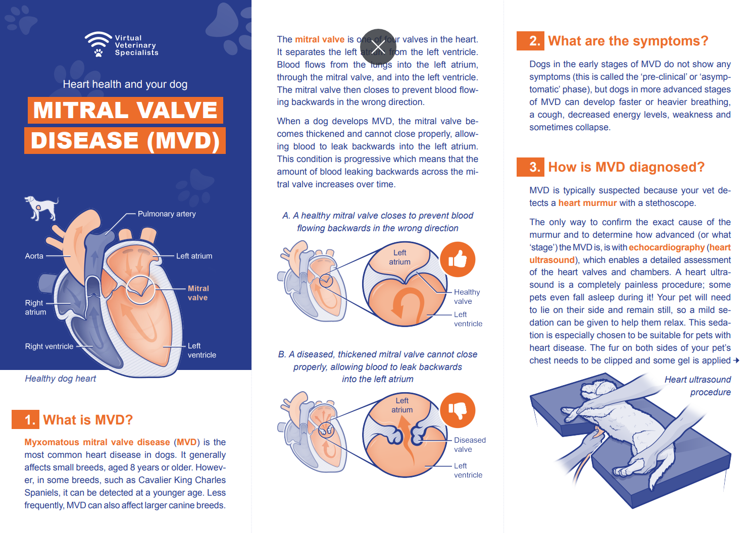 VVS Owner Information Leaflets