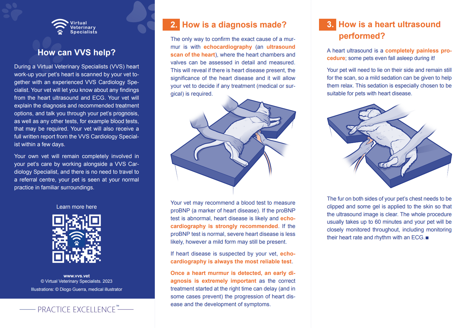 VVS Owner Information Leaflets
