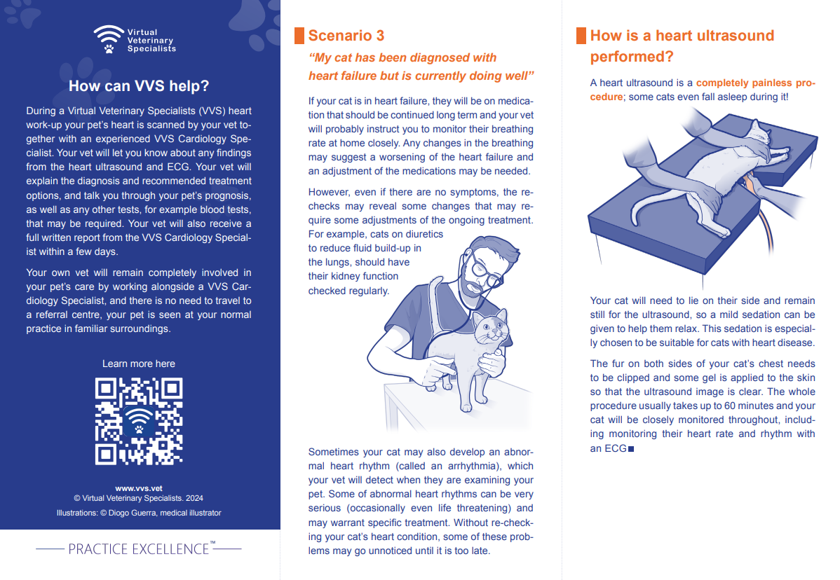 VVS Owner Information Leaflets