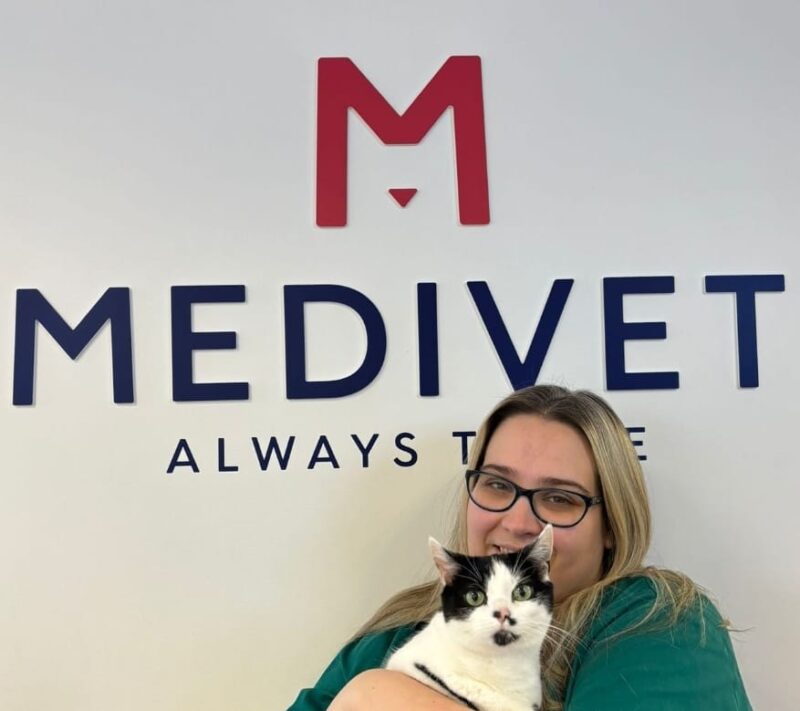 VVS – Virtual Veterinary Specialists
